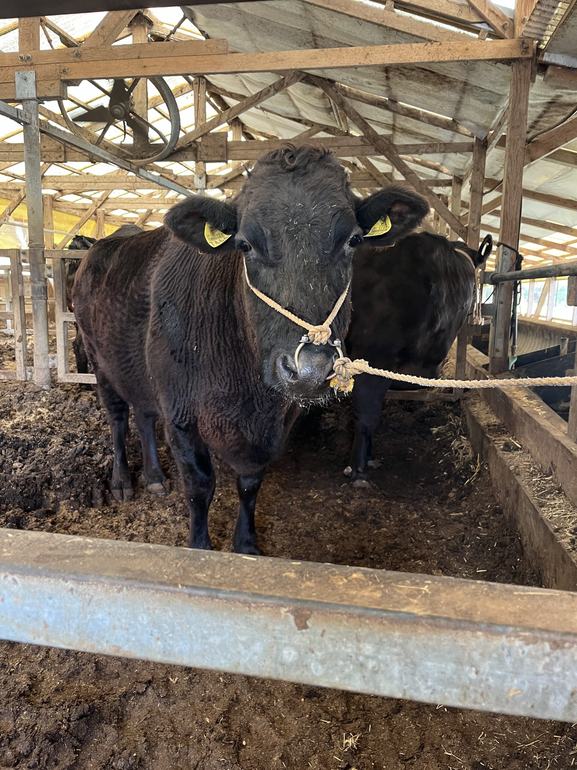 活動報告 | 原たくや公式サイト